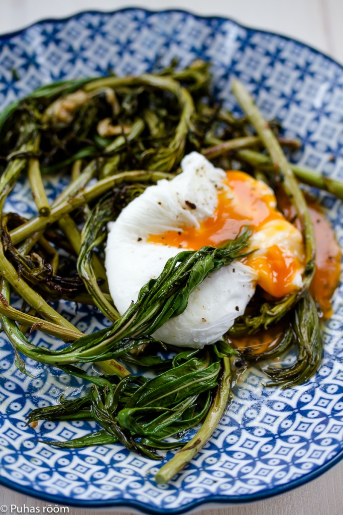 Põdrakanep ehk vaese mehe spargel – Puhas rõõm